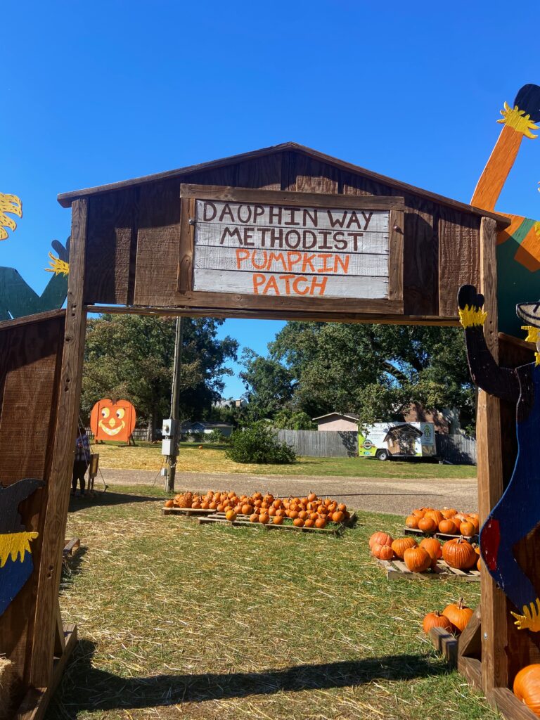 5 pumpkin patches to check out in the Mobile area | The Bama Buzz